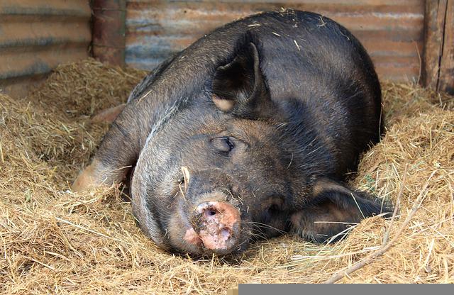 Resource Hog! What’s my busiest database? – SQL Undercover